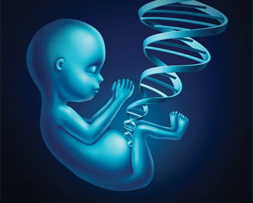 Справочник лекарственных препаратов Компендиум